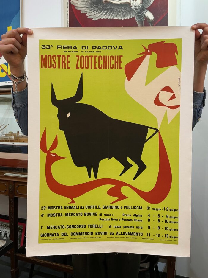 Mostre Zootecniche, Fiera di Padova 1955 - L'Image Gallery